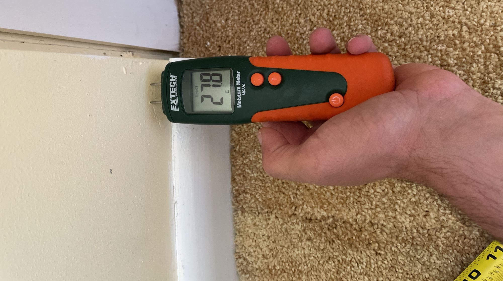 Mold Testing in South Jersey | Certified Mold Removers in South Jersey ...